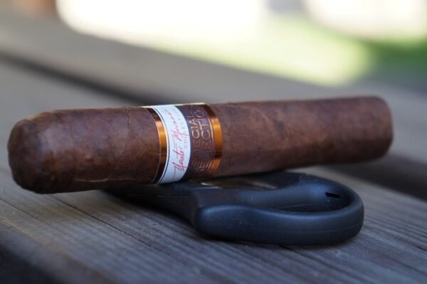 Cigar Shop | Buy Cigars Online at Cheapest Prices in India